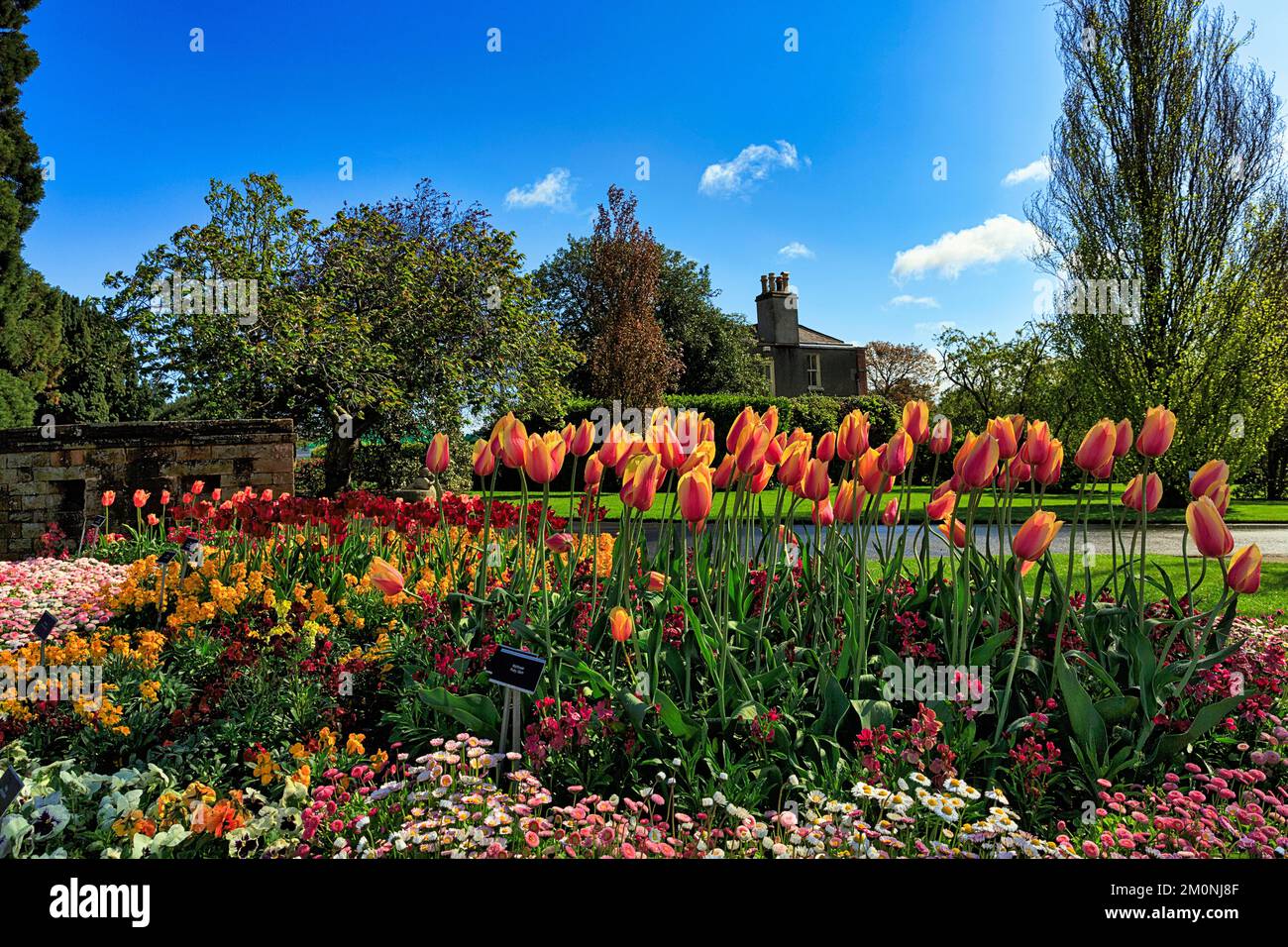 Flowerbed, spring in the Botanical Garden, sunny weather, Dublin ...