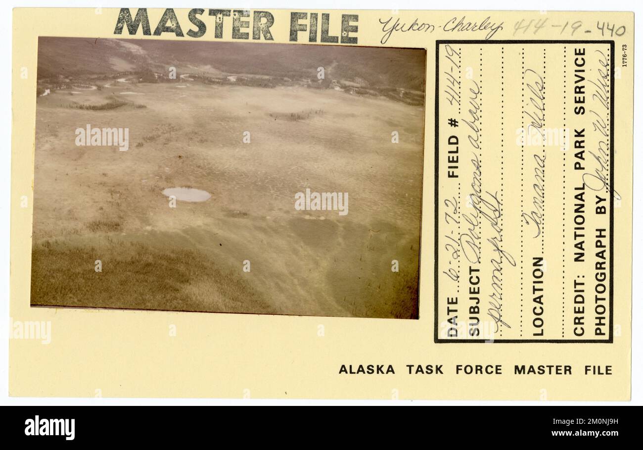 Polygons above permafrost. Alaska Task Force Photographs Stock Photo ...