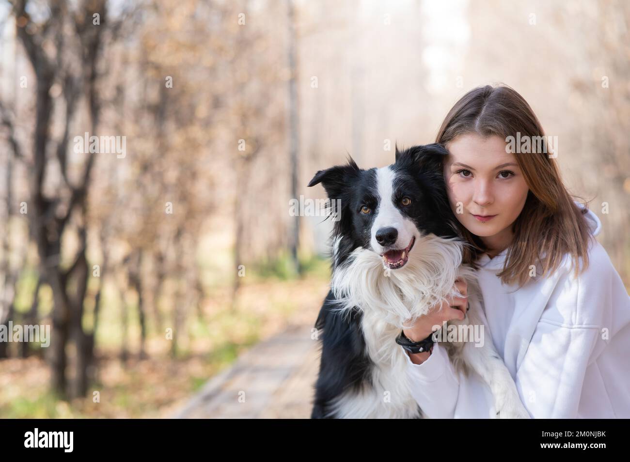 Caucasian woman hugging border collie in autumn park. Portrait of a ...