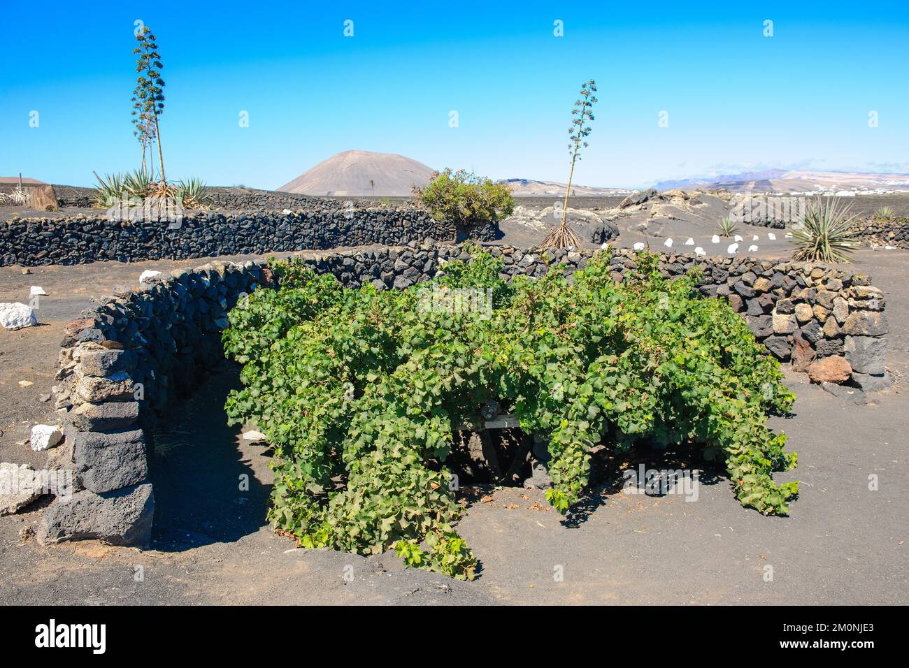 Lanzarote extinct volcano hi-res stock photography and images - Alamy