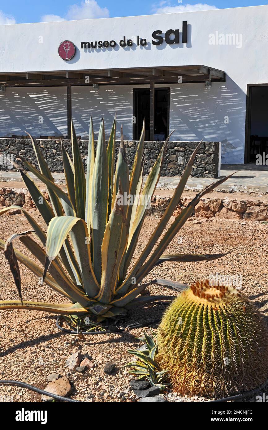 Entrance to Salt Museum Museo de la Sal, in the foreground succulent ...