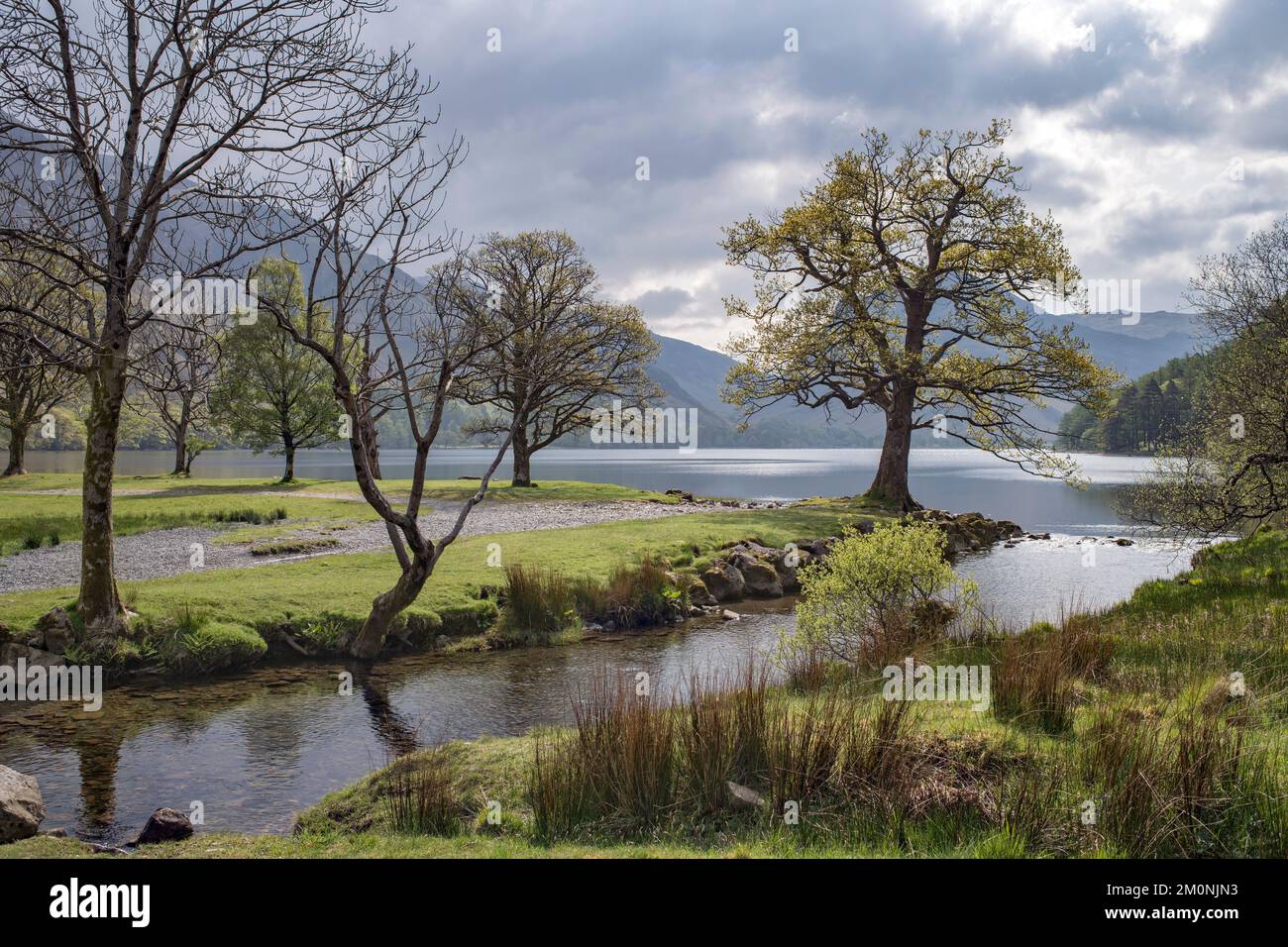 Stream beside Buttermere in the Lake District Stock Photo - Alamy