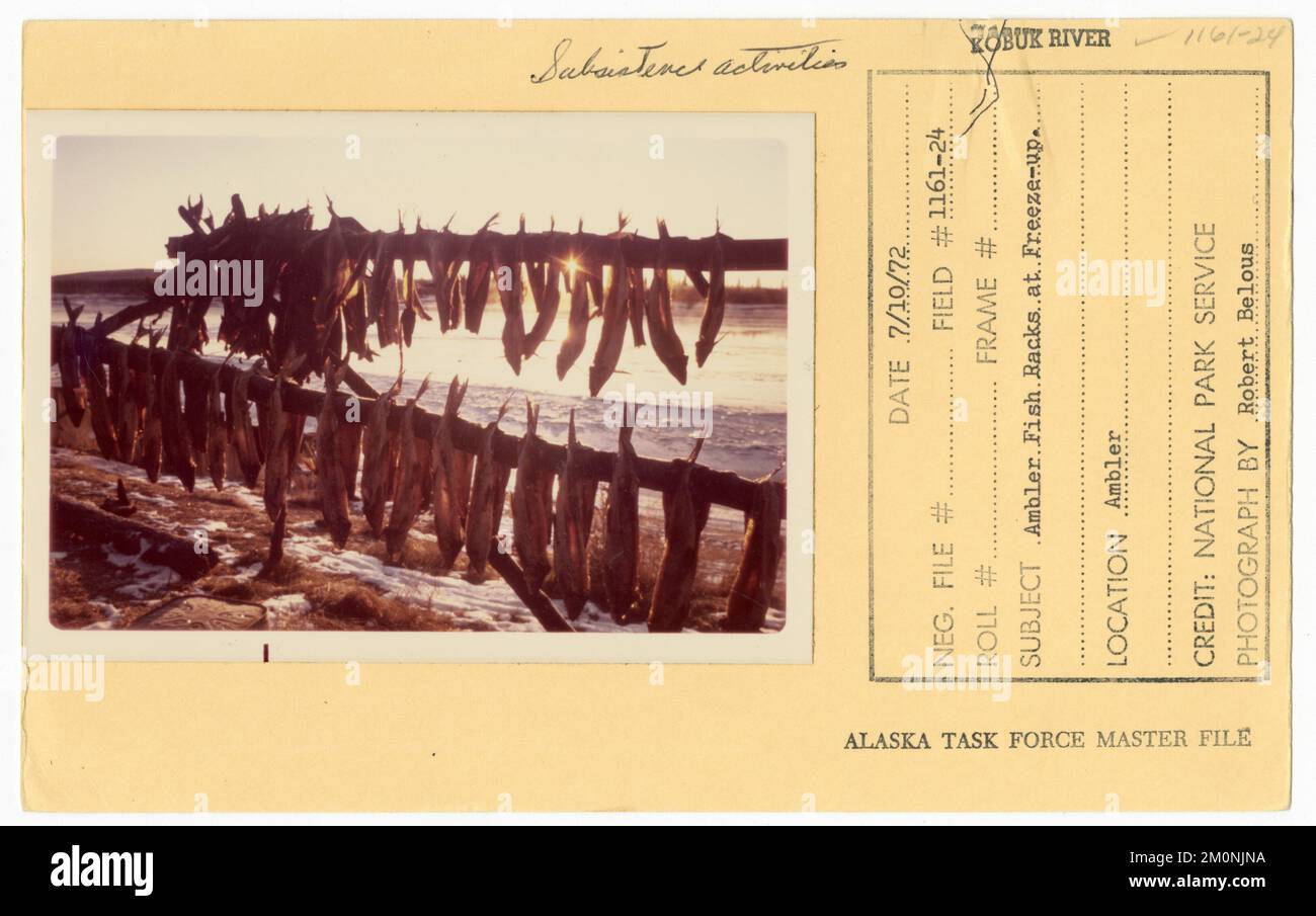 Ambler fish racks at freeze-up. Alaska Task Force Photographs Stock ...