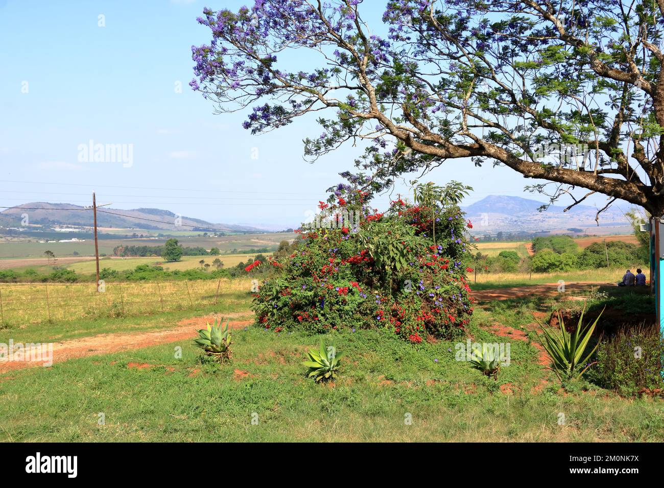 landscape scene in Swaziland kingdom of Eswatini Stock Photo - Alamy