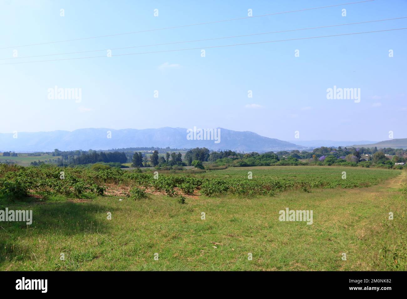 landscape scene in Swaziland kingdom of Eswatini Stock Photo - Alamy