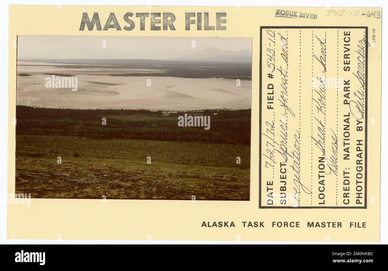 Spruce forest and vegetation. Alaska Task Force Photographs Stock Photo ...