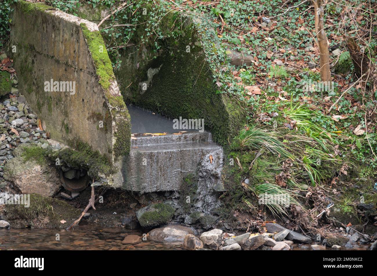 Foul water discharge with sewage fungus entering the River Tawe at ...