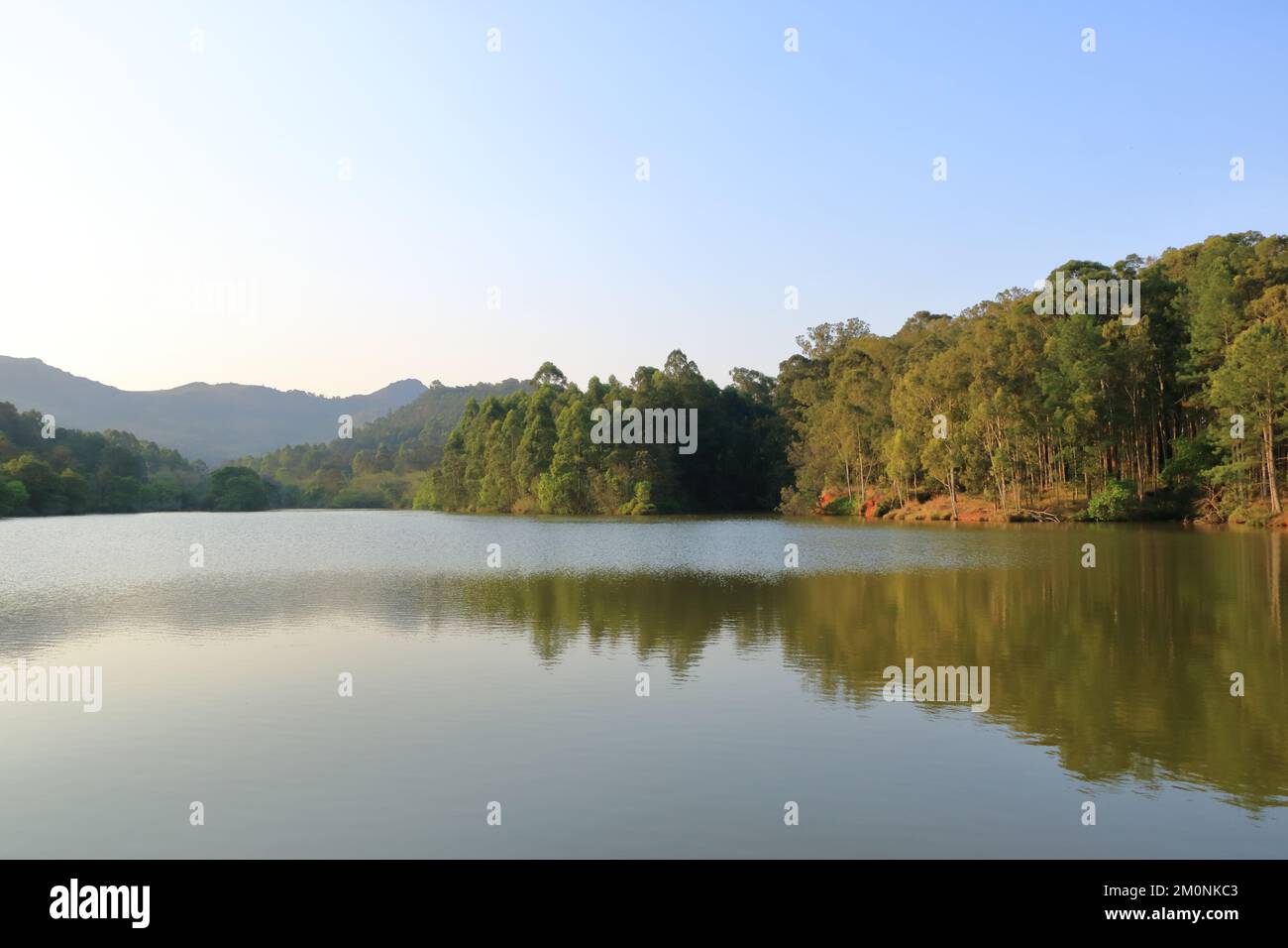 Mlilwane wildlife sanctuary in Swaziland, Eswatini Stock Photo - Alamy