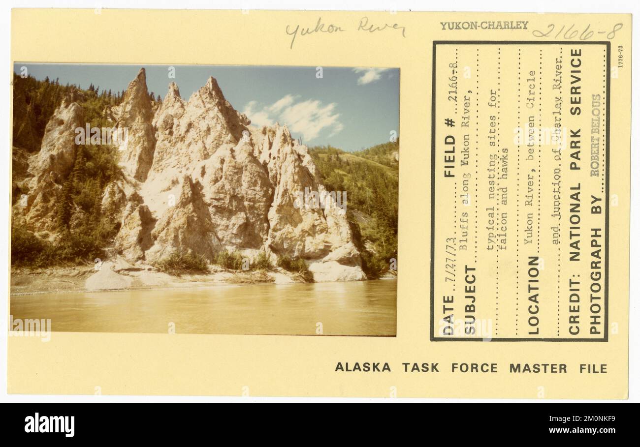 Bluffs along Yukon River, typical nesting sites for falcon & hawks ...