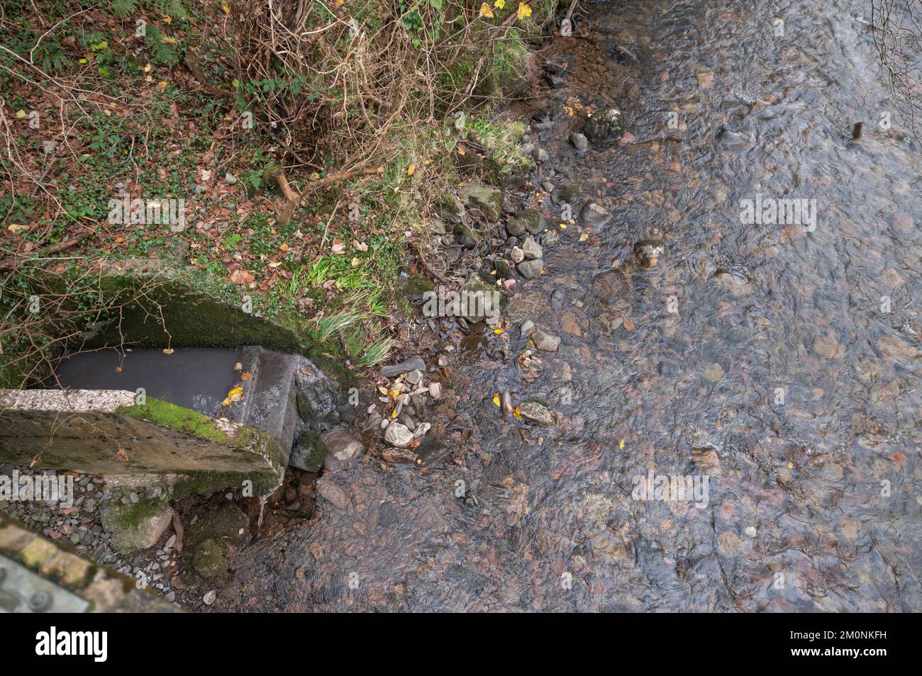 Foul water discharge with sewage fungus entering the River Tawe at ...