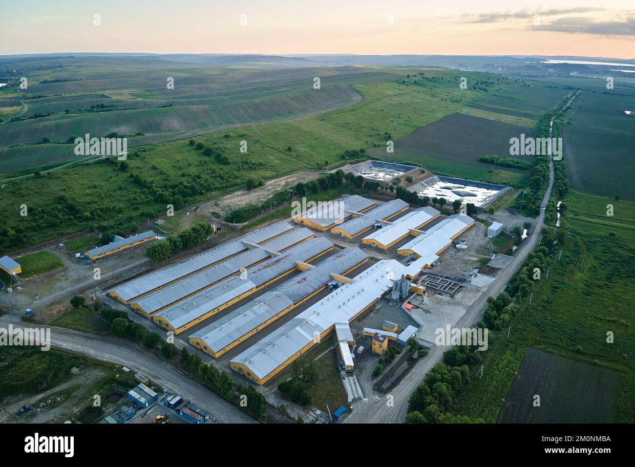 Aerial view of cattle farm buildings between green farmlands Stock ...