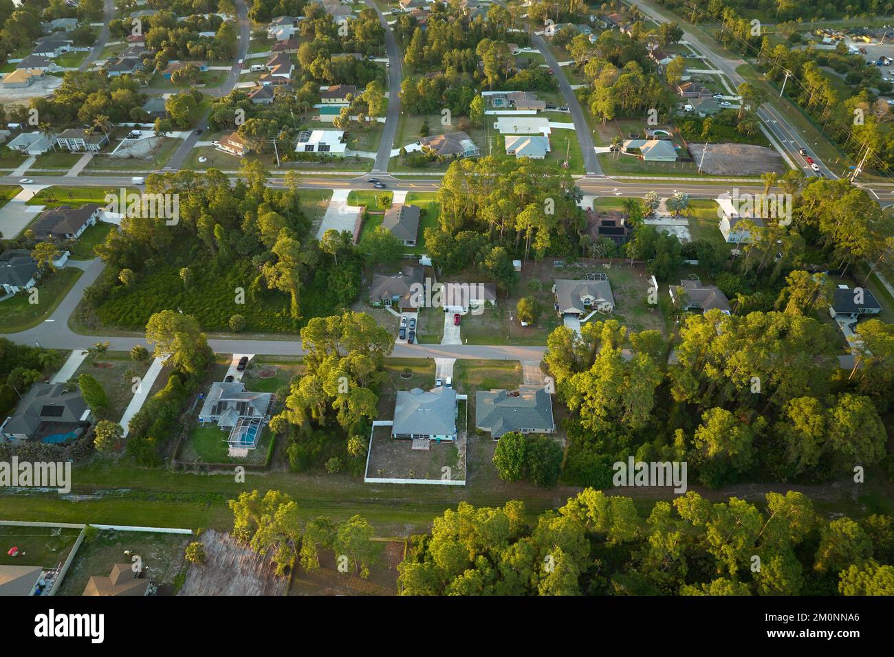 Aerial view of suburban landscape with private homes between green palm ...