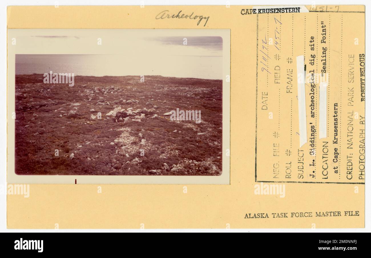 J.L. Giddings' archeological dig site "Sealing Point". Alaska Task ...