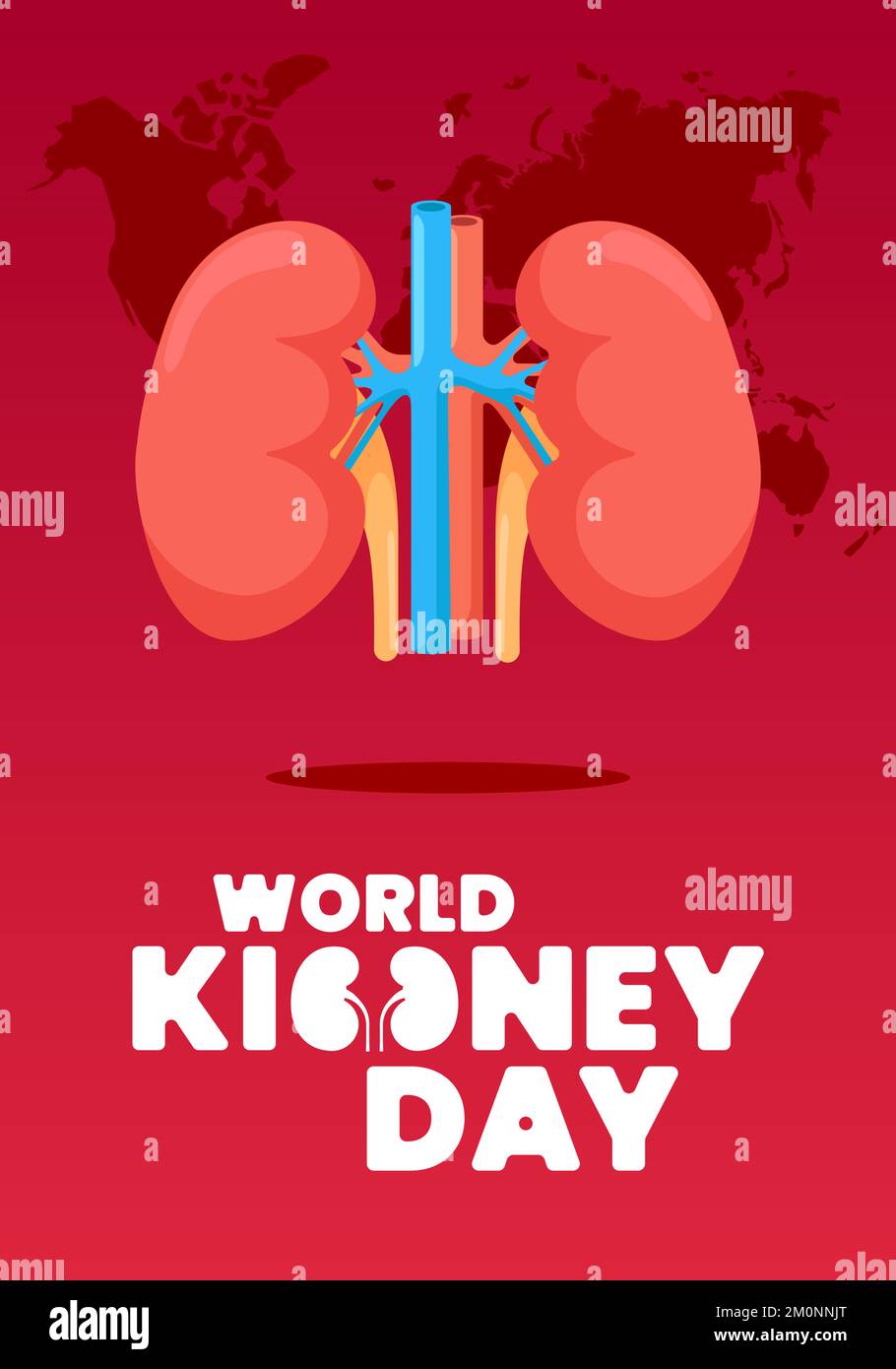 World kidney day vertical poster. International human healthy kidneys ...