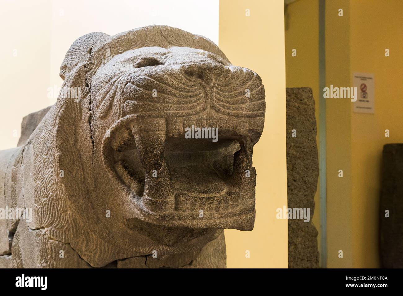 Inside the lion king hi-res stock photography and images - Alamy