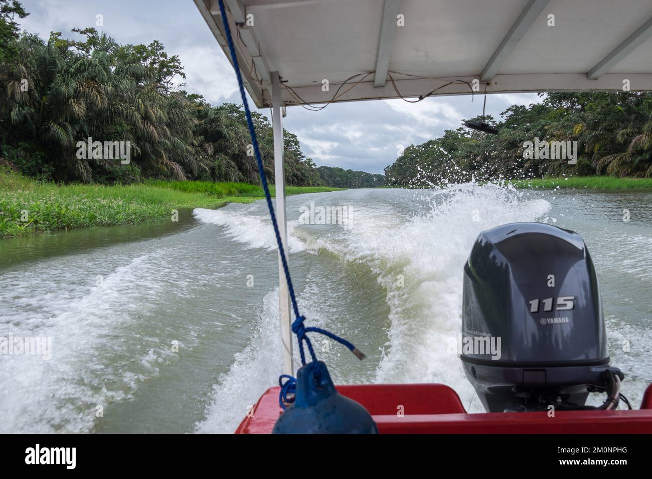 Outboard speedboat navigating the Tortuguero Canal in Costa Rica Stock ...