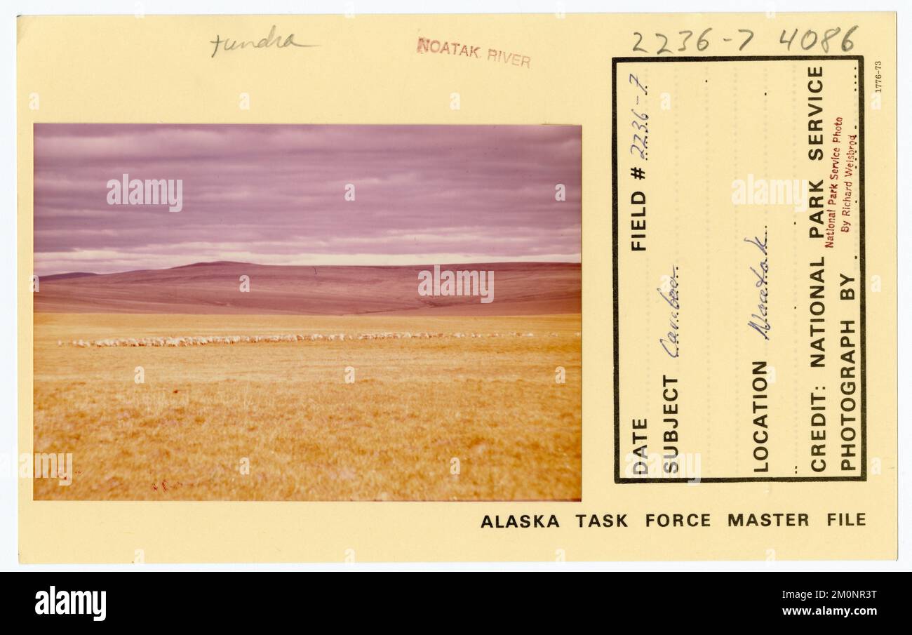 Large photographs Cut Out Stock Images & Pictures - Alamy