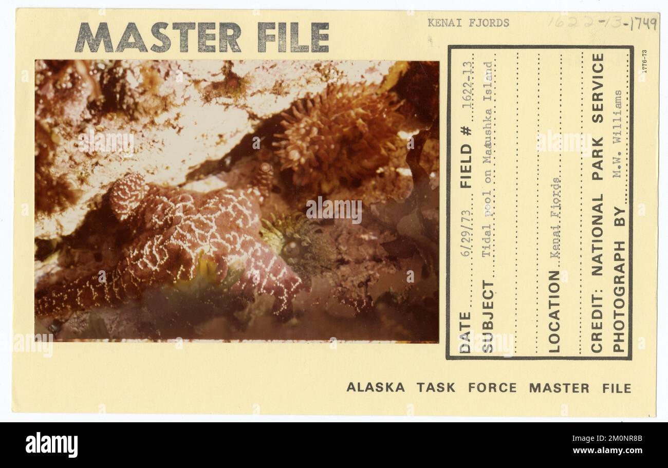 Tidal pool on Matushka Island. Alaska Task Force Photographs Stock ...