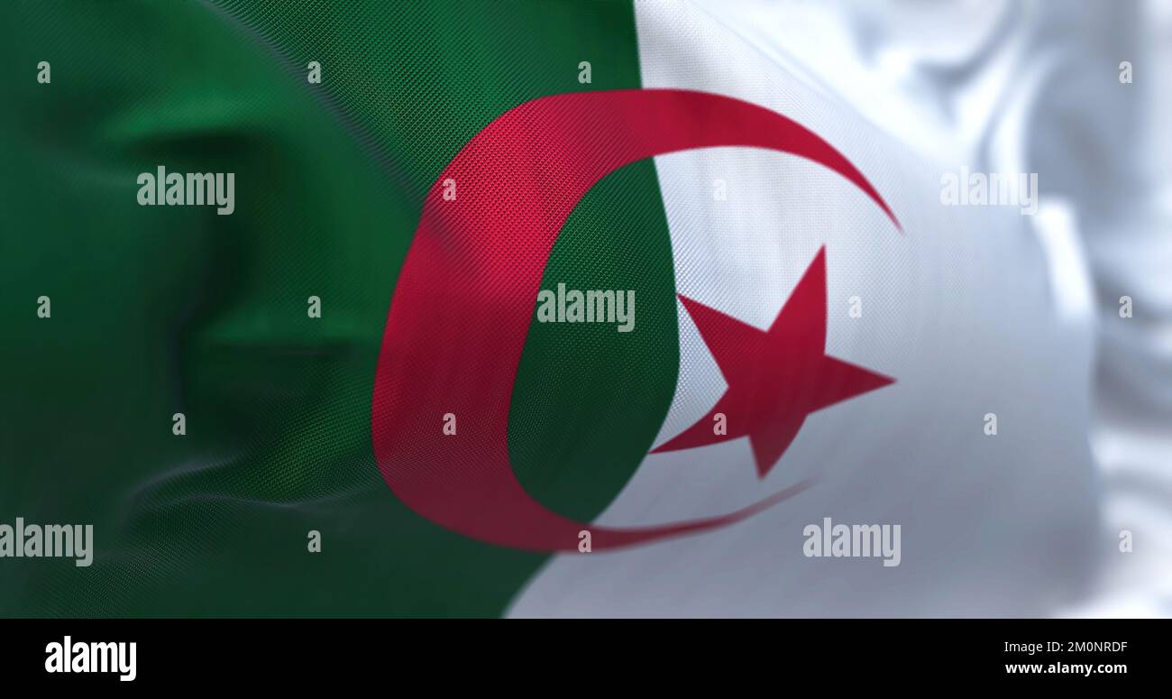 Close-up view of the Algeria national flag waving in the wind. People ...