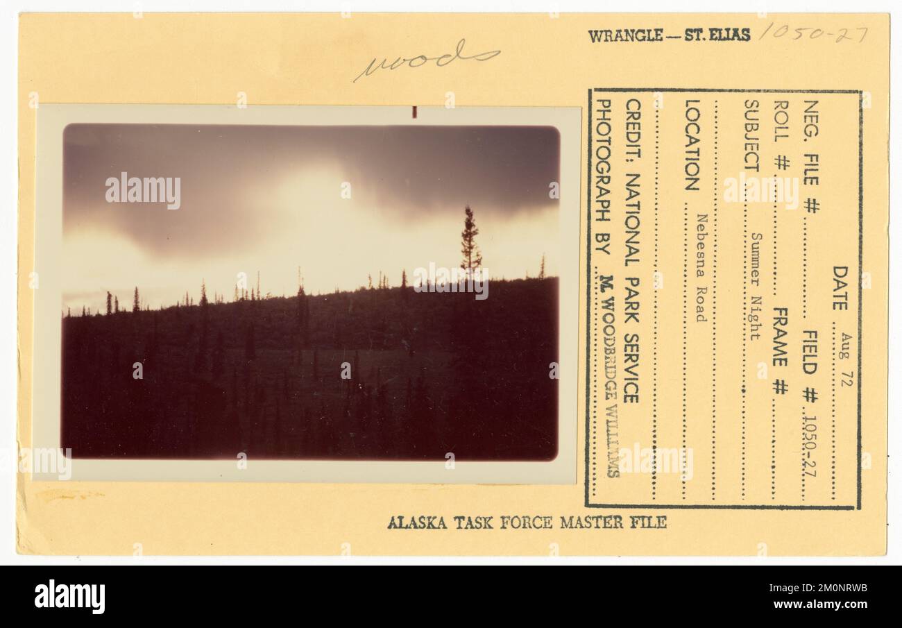 Night sky beauty Cut Out Stock Images & Pictures - Alamy