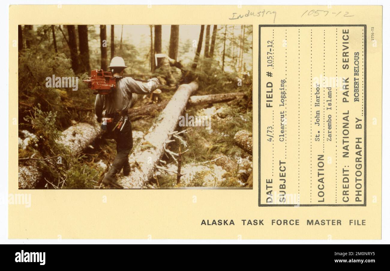 Clearcut logging. Alaska Task Force Photographs Stock Photo - Alamy