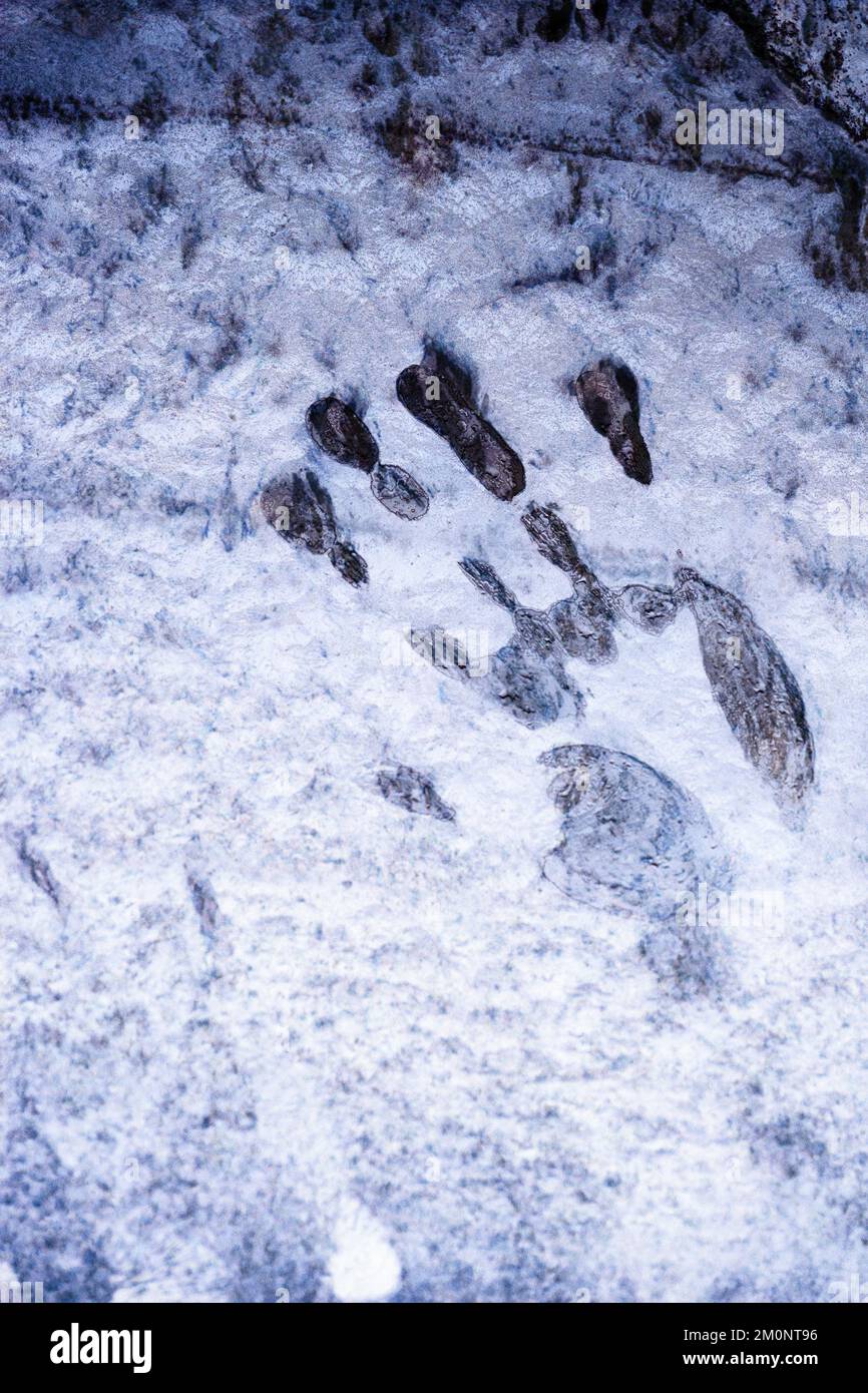 Hand imprint in frozen snow and ice on a rock surface Stock Photo - Alamy