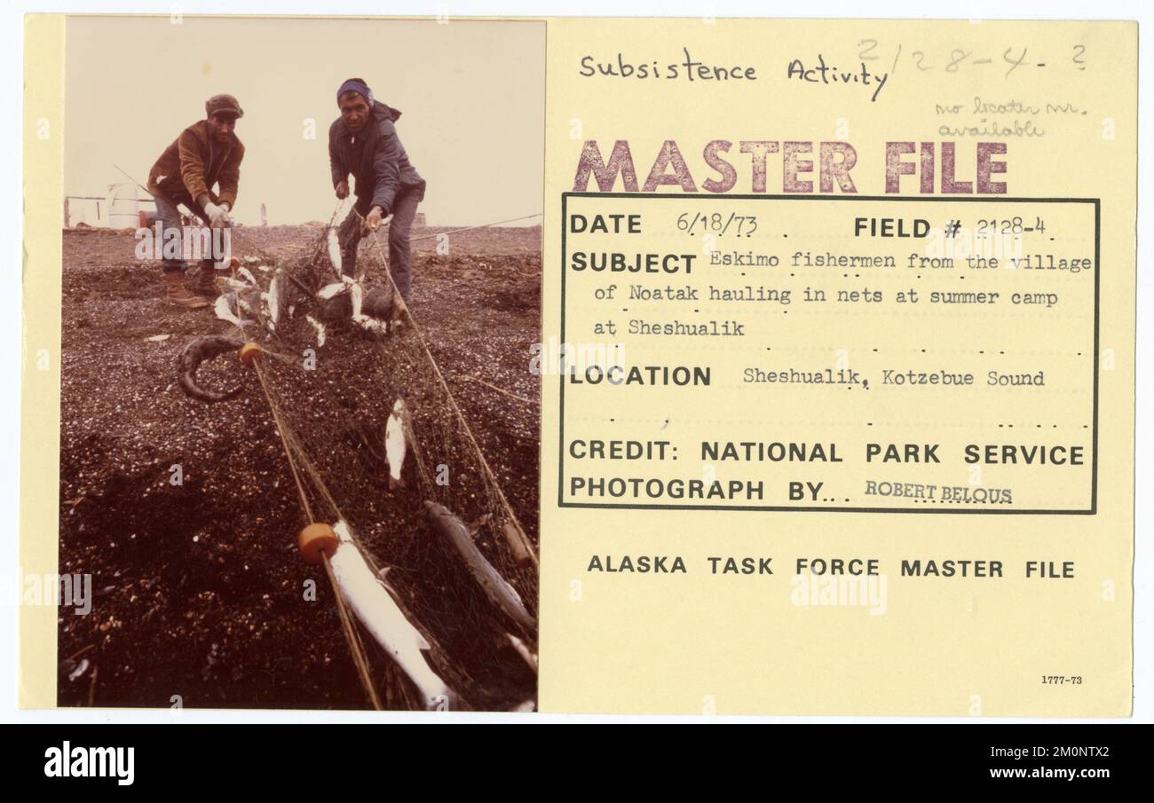 Eskimo fisherman from the village of Noatak hauling in nets at summer ...