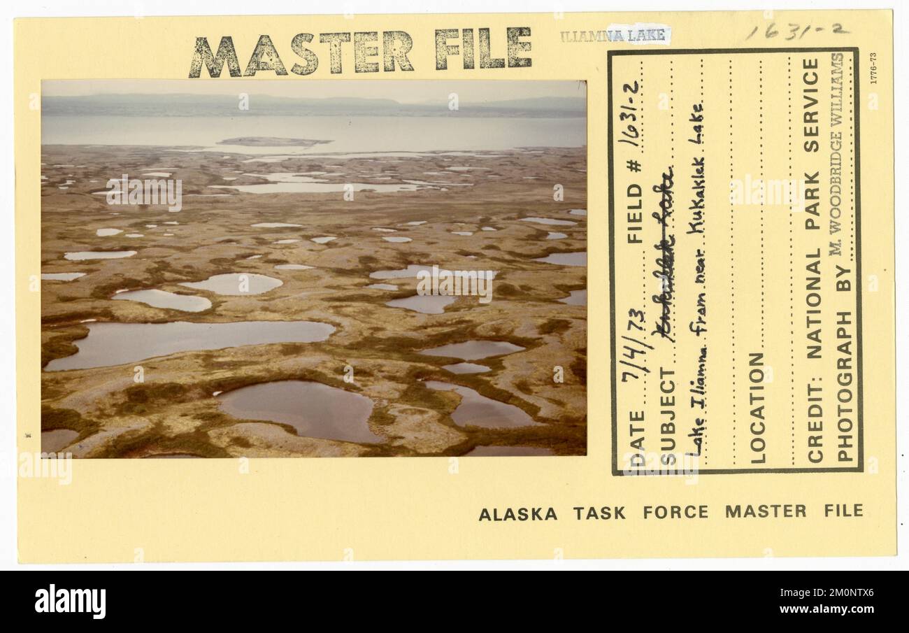 Lake Iliamna from near Kukaklek Lake. Alaska Task Force Photographs ...