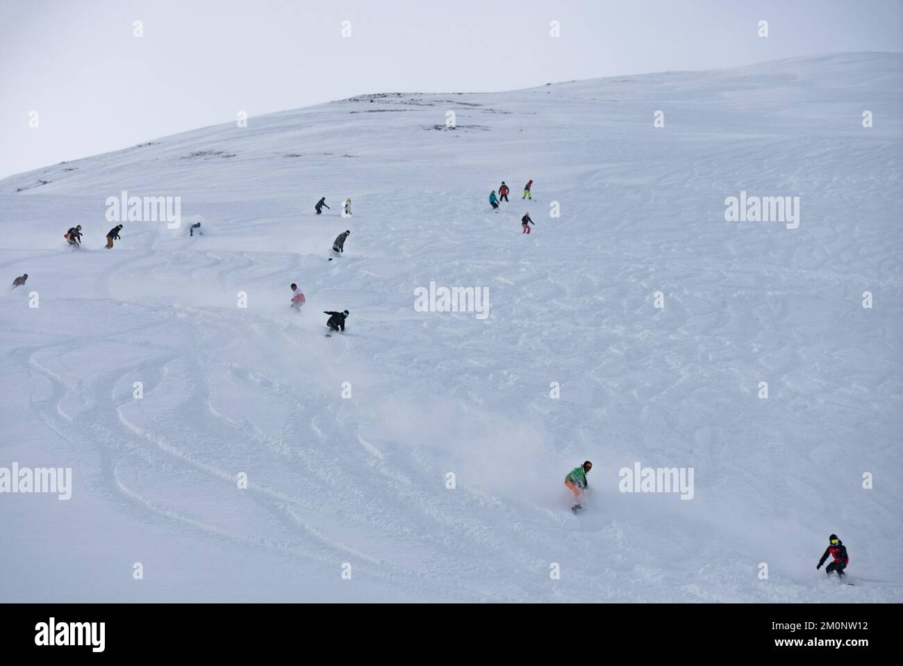 Freeride group in powder, snowboarding in alpes resort in winter ...