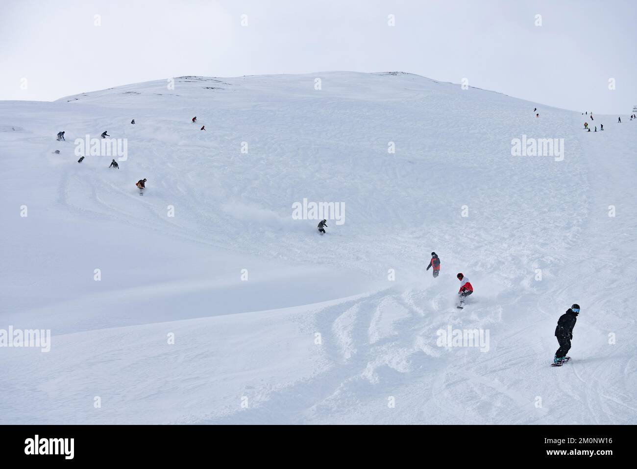 Freeride group in powder, snowboarding in alpes resort in winter ...