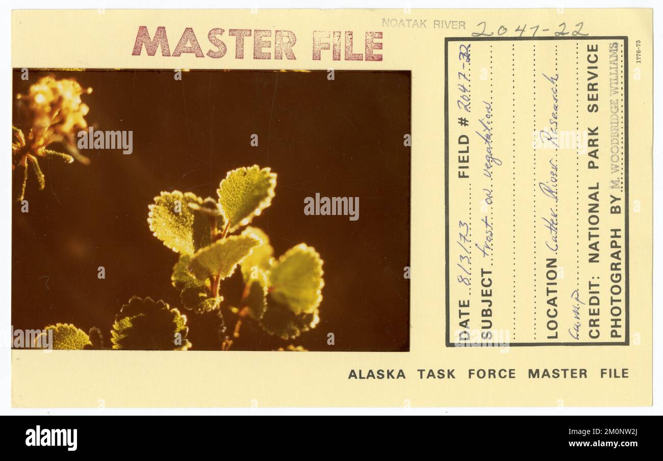 On vegetation Cut Out Stock Images & Pictures - Alamy