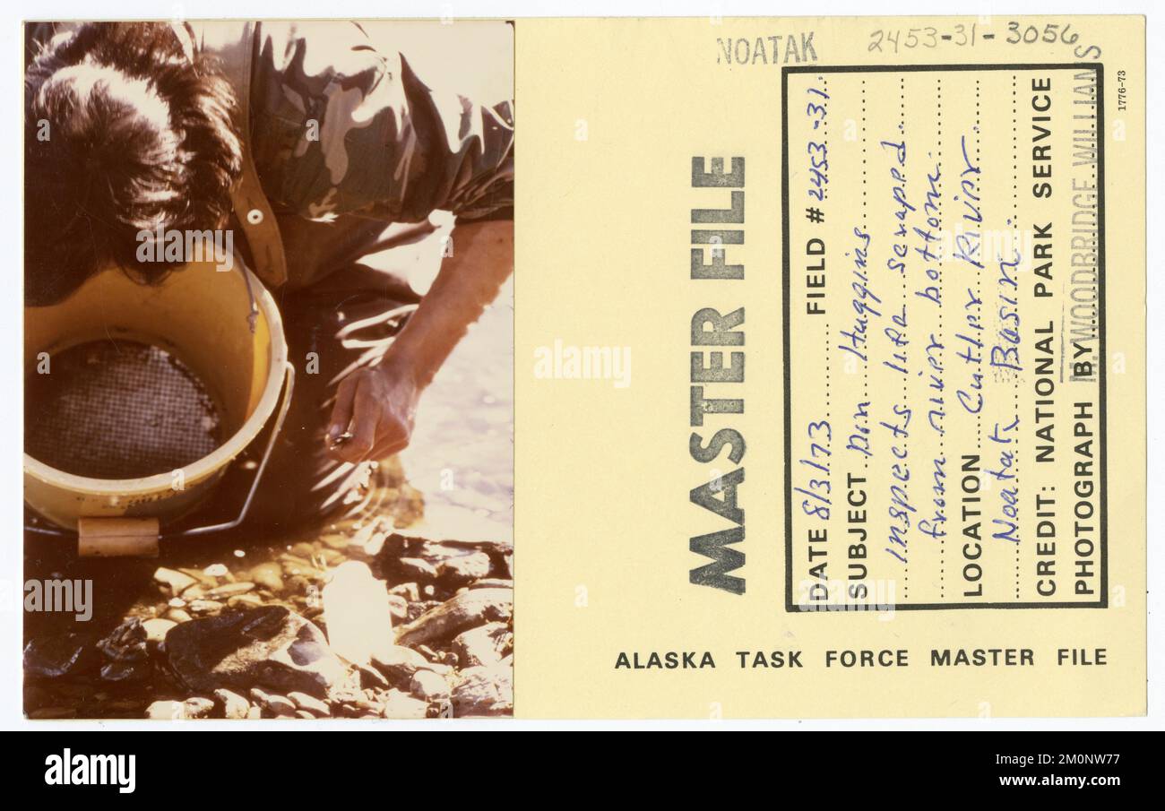 Don Huggins inspects life scraped from river bottom. Alaska Task Force ...