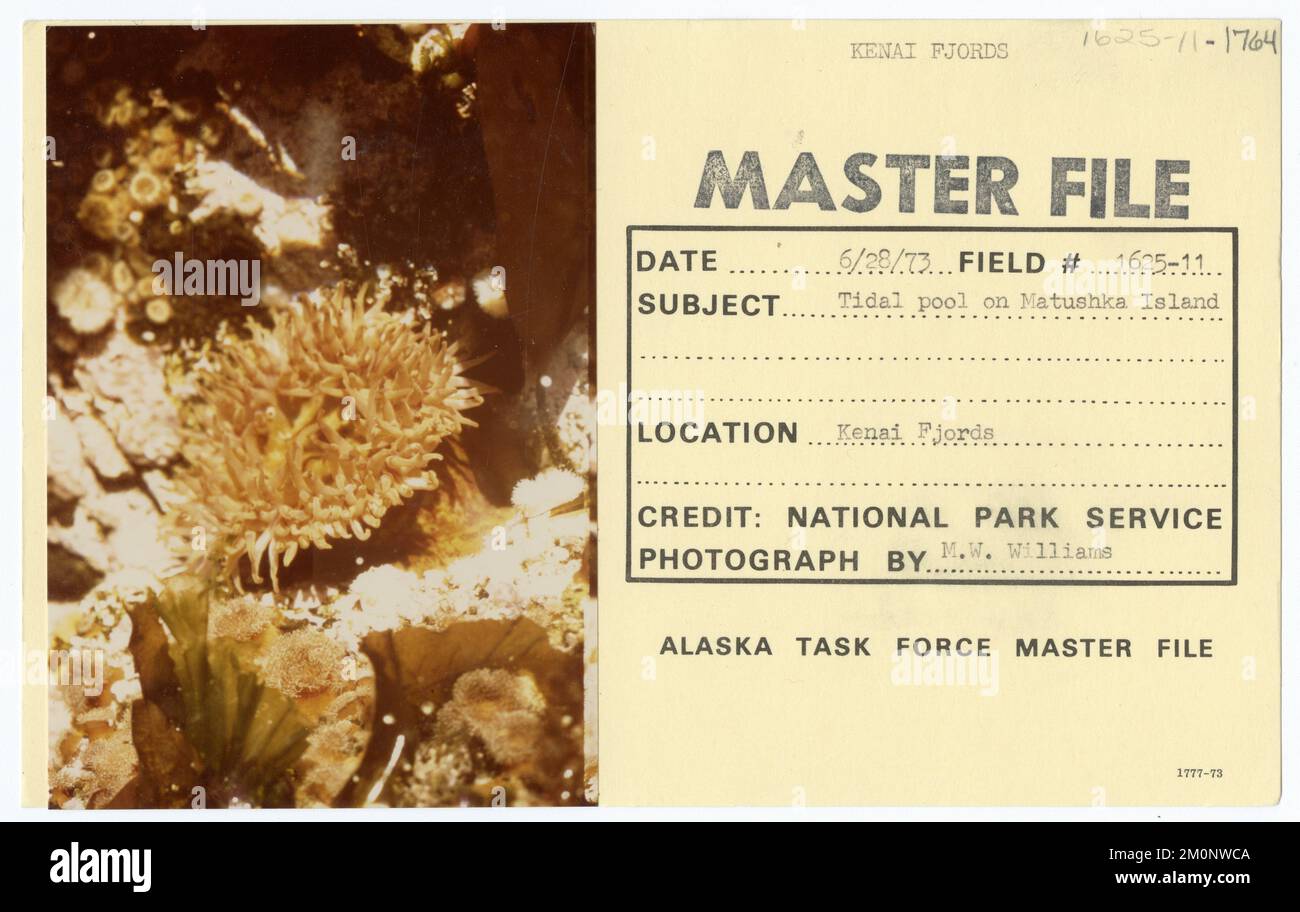 Tidal pool on Matushka Island. Alaska Task Force Photographs Stock ...