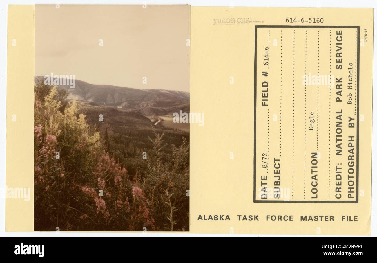 Eagle. Alaska Task Force Photographs Stock Photo - Alamy