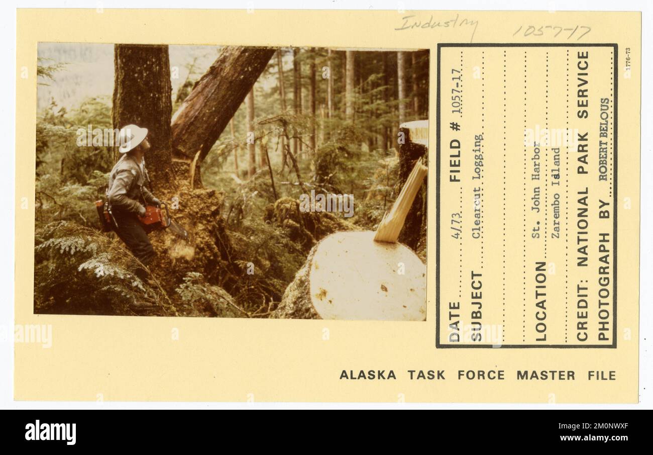 Clearcut logging. Alaska Task Force Photographs Stock Photo - Alamy