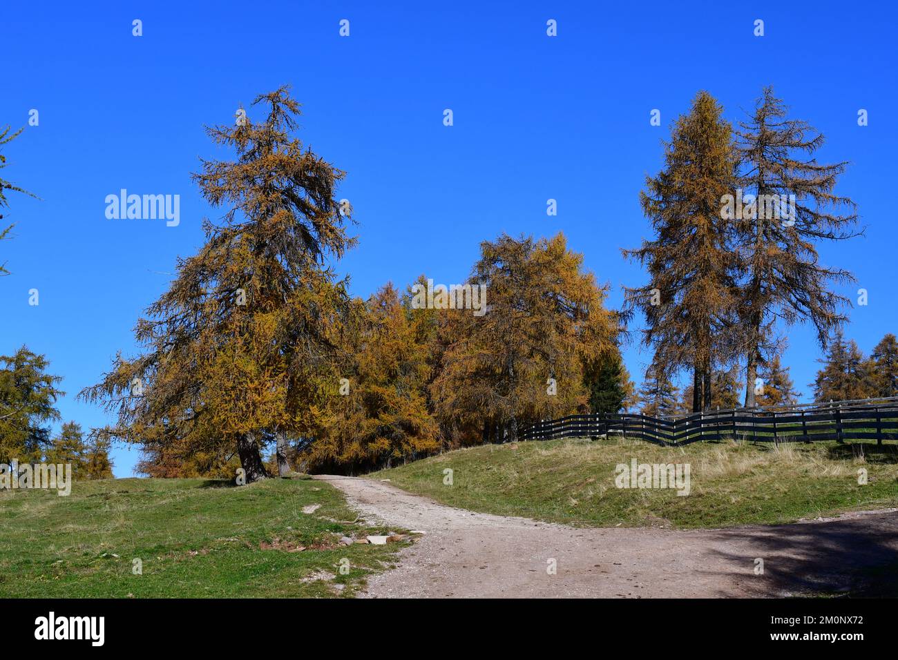 Fall in salten hi-res stock photography and images - Alamy