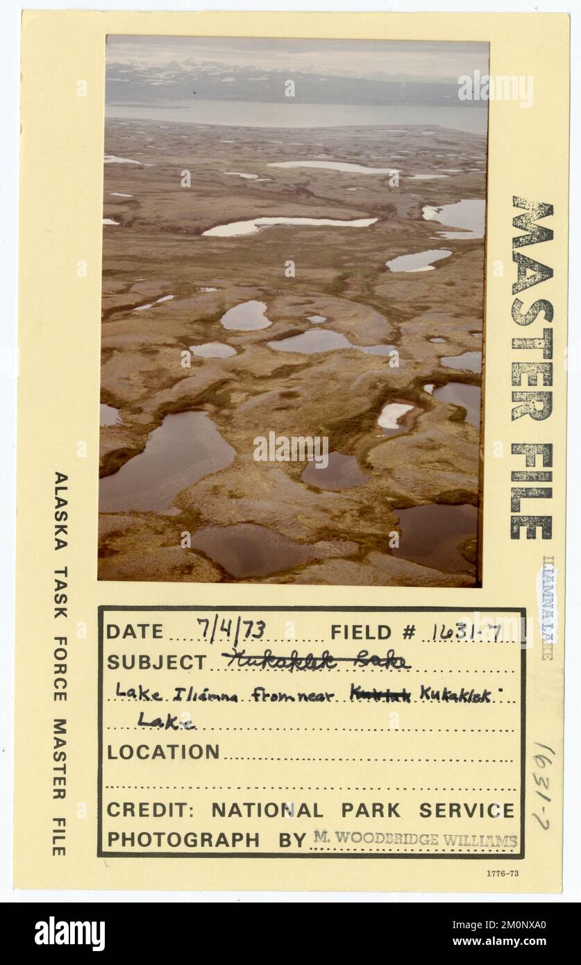 Lake Iliamna from near Kukaklek Lake. Alaska Task Force Photographs ...