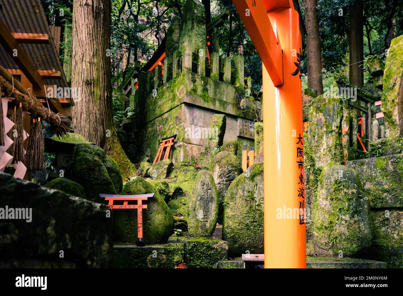 A traditional red Shinto temple complex in Kyoto Japan with red torii ...