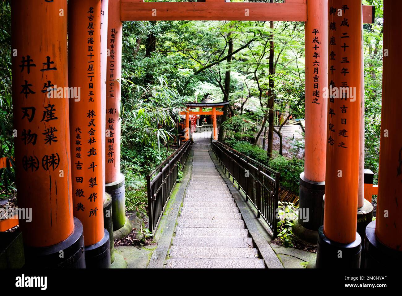 A vertical shot of a path under red torii gates in Kyoto Japan with ...