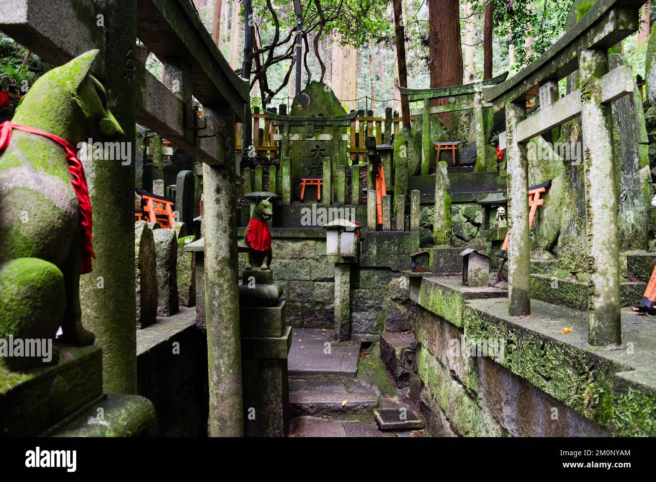 A traditional red Shinto temple complex in Kyoto Japan with mossy stone ...