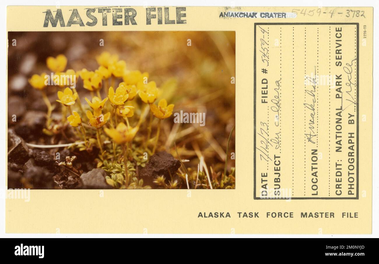In caldera. Alaska Task Force Photographs Stock Photo - Alamy