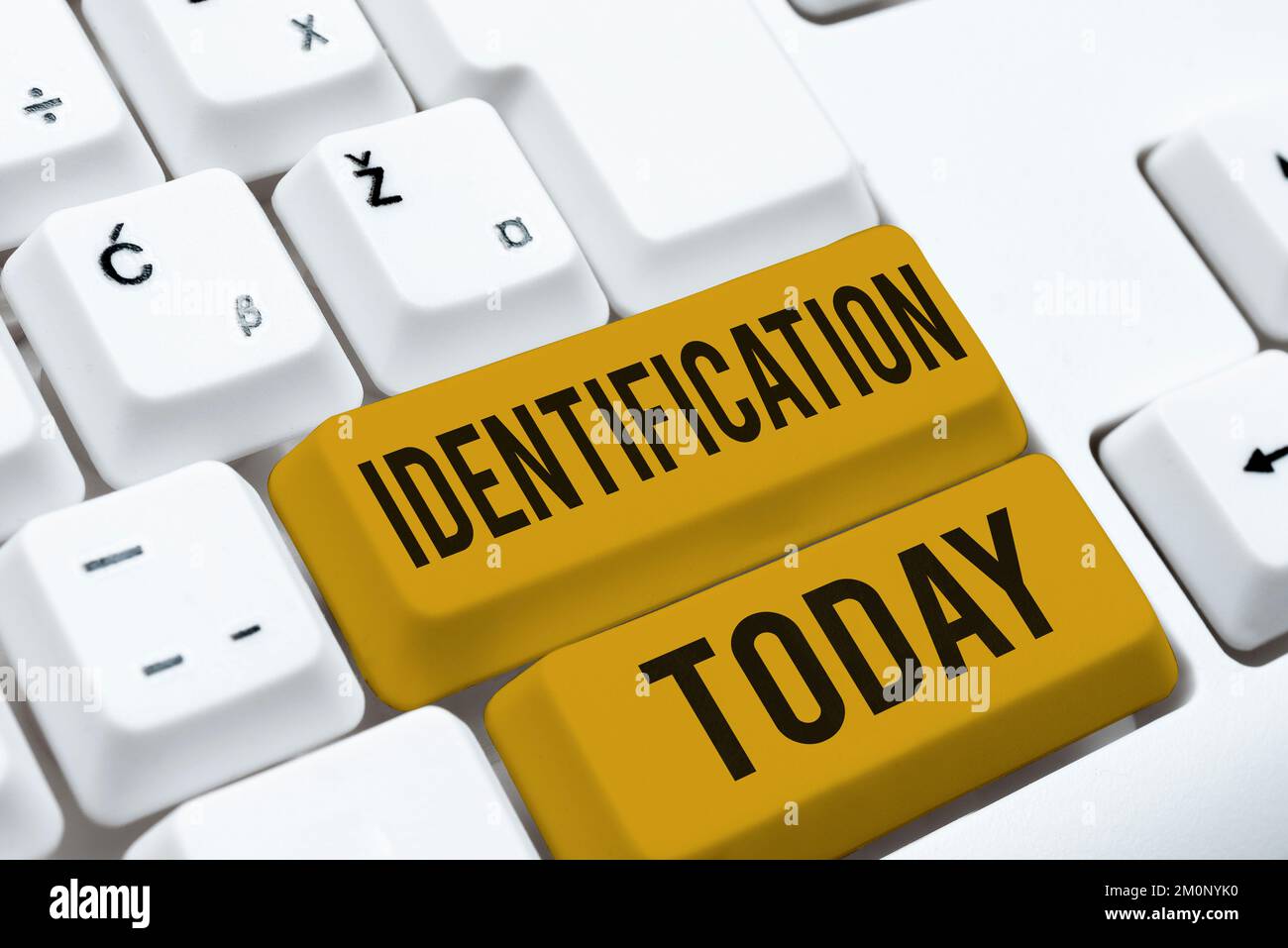 Text sign showing Identification. Business showcase an action or ...