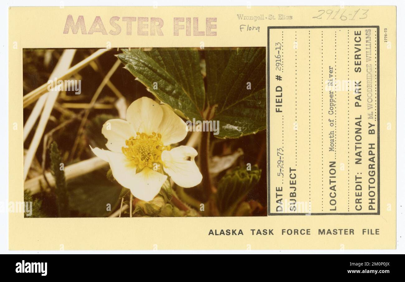 Mouth of Copper River. Alaska Task Force Photographs Stock Photo - Alamy