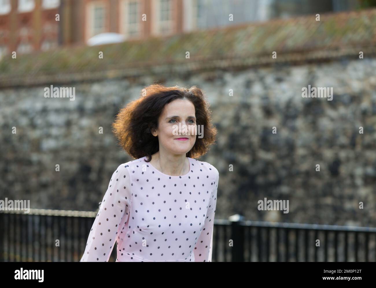 Theresa Villiers on college green London UK 24th. Oct.2022 Westminster ...