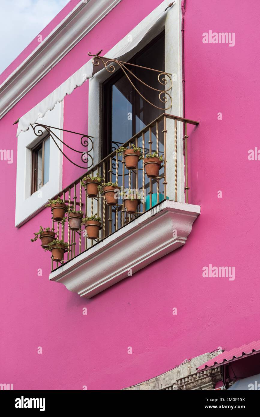 Balcony with flower pots in Oaxaca, Mexico Stock Photo - Alamy