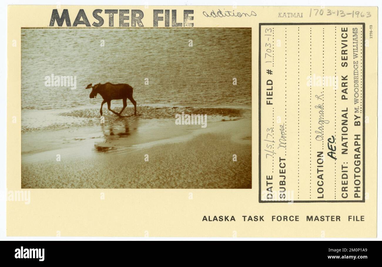 Large photographs Cut Out Stock Images & Pictures - Alamy