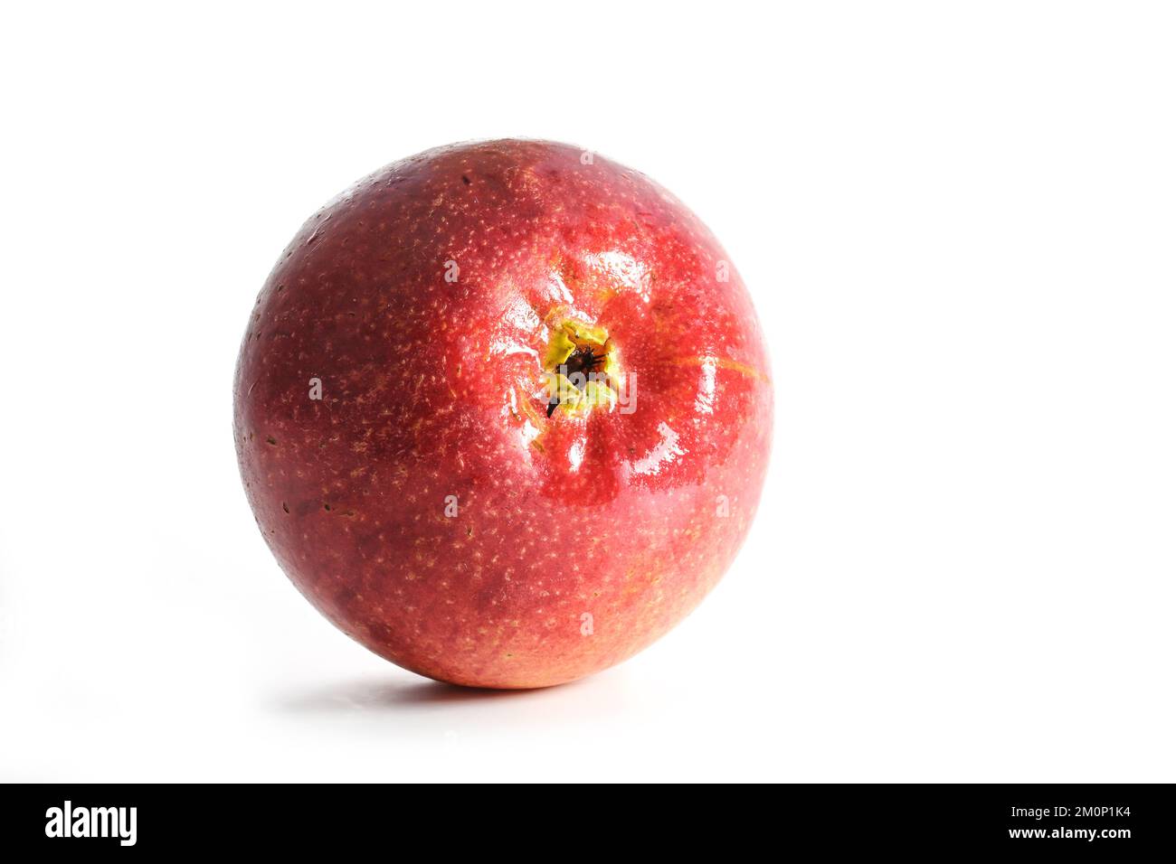 Fresh organic red apple lying on side, visible blossom and water drops ...