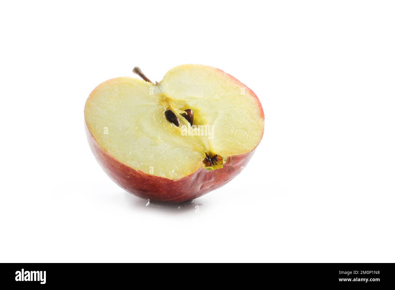 Halved fresh organic red apple with fruit pulp, seeds, skin and stem, isolated with shadow on a ...