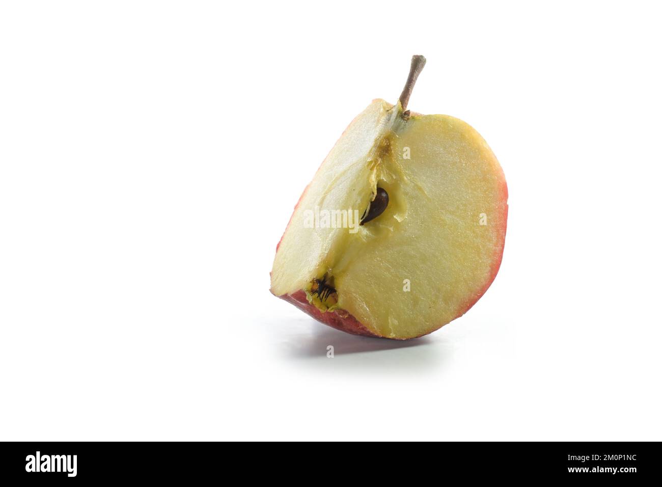 Quarter fresh organic apple piece with fruit pulp, seeds, red skin and ...