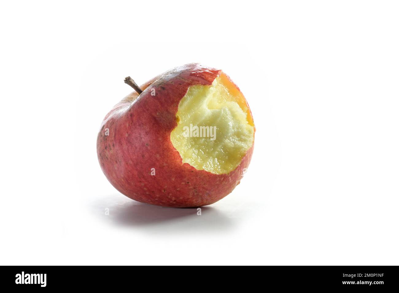 Bitten fresh organic apple piece with juicy fruit pulp, red skin and ...